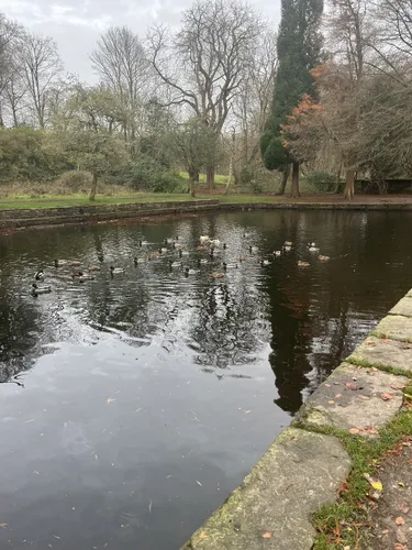 Best Hikes and Trails in Witton Country Park | AllTrails