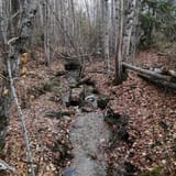 Syphon Falls Trail, British Columbia, Canada - 204 Reviews, Map | AllTrails