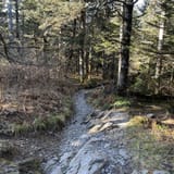 Mount Buckley via Clingmans Dome Bypass Trail, North Carolina - 886 ...