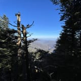 Mount Buckley via Clingmans Dome Bypass Trail, North Carolina - 886 ...