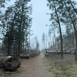 Painted Rocks Nature Trail, Washington - 770 Reviews, Map | AllTrails