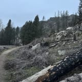 Painted Rocks Nature Trail, Washington - 770 Reviews, Map | AllTrails