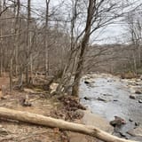 Difficult Run Trail, Virginia - 711 Reviews, Map | AllTrails