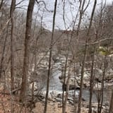 Difficult Run Trail, Virginia - 711 Reviews, Map | AllTrails