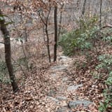Difficult Run Trail, Virginia - 711 Reviews, Map | AllTrails