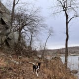 Difficult Run Trail, Virginia - 711 Reviews, Map | AllTrails