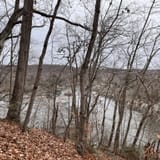 Difficult Run Trail, Virginia - 736 Reviews, Map | AllTrails