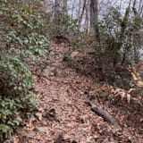 Difficult Run Trail, Virginia - 736 Reviews, Map | AllTrails