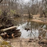 Difficult Run Trail, Virginia - 728 Reviews, Map | AllTrails