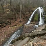 Roaring Run Hoop Hole Trail, Virginia - 763 Reviews, Map | AllTrails