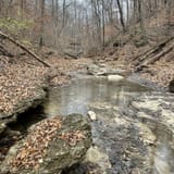 Rock Run Loop, Kentucky - 181 Reviews, Map | AllTrails