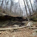 Emory Gap Falls Trail, Tennessee - 788 Reviews, Map | AllTrails