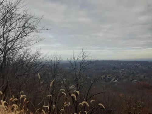 2023 Best Walking Trails in High Mountain Park Preserve | AllTrails