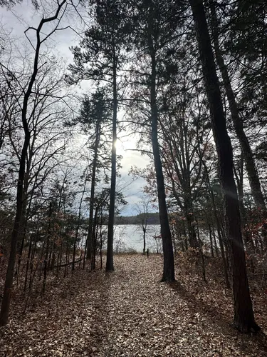Best Hikes and Trails in Lake Cammack Park | AllTrails
