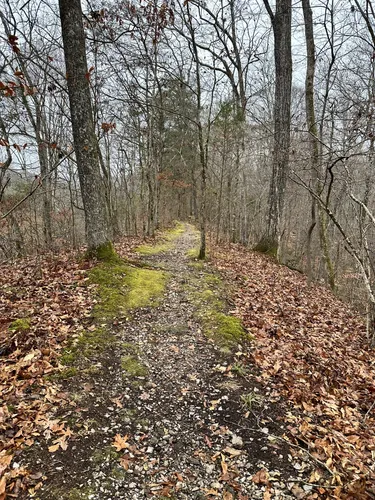 Best Hikes and Trails in Old Stone Fort State Archaeological Park ...