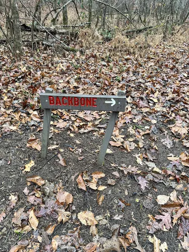 Best Hikes and Trails in Old Stone Fort State Archaeological Park ...