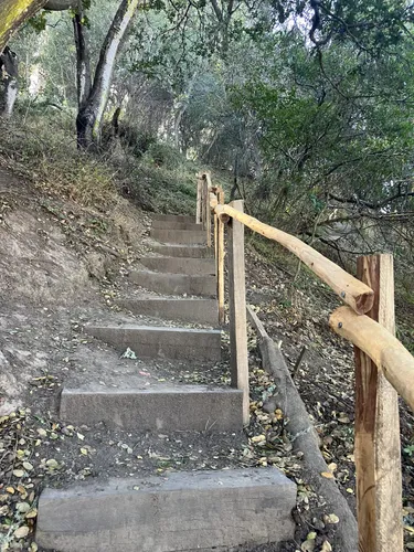 Best Hikes and Trails in Albany Hill Park | AllTrails