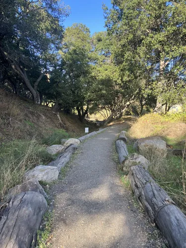 Best Hikes and Trails in Albany Hill Park | AllTrails