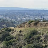 Hollyridge Trail to Hollywood Sign Viewpoint, California - 4,905 ...