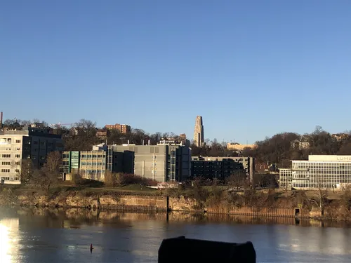 Best Hikes and Trails in Schenley Park | AllTrails