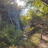 Gorman Falls Trail, Texas - 1,049 Reviews, Map | AllTrails