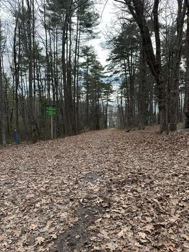 Best Hikes and Trails in Red Rocks Park | AllTrails