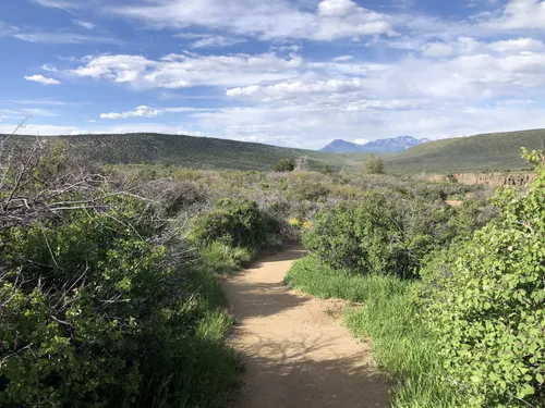 10 Best Trails and Hikes in Montrose | AllTrails