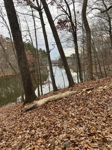 2023 Best Kid Friendly Trails in High Point | AllTrails