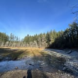 Tradition Lake Loop Trail, Washington - 1,547 Reviews, Map | AllTrails