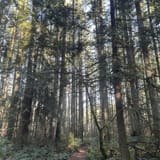 Tradition Lake Loop Trail, Washington - 1,547 Reviews, Map | AllTrails
