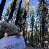 Four Mile Trail, California - 3,472 Reviews, Map | AllTrails