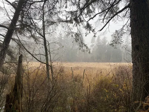 Best Hikes and Trails in Birch Bay State Park | AllTrails