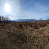 Mount Rogers Loop Trail, Virginia - 391 Reviews, Map | AllTrails