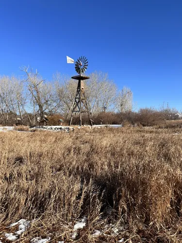 Best Hikes and Trails in Historic Cheese Ranch Park | AllTrails