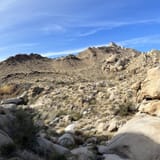 Grapevine Canyon Trail, Nevada - 542 Reviews, Map | AllTrails