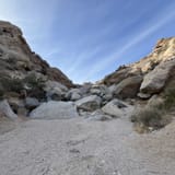 Grapevine Canyon Trail, Nevada - 542 Reviews, Map | AllTrails