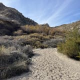 Grapevine Canyon Trail, Nevada - 542 Reviews, Map | AllTrails