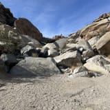 Grapevine Canyon Trail, Nevada - 542 Reviews, Map | AllTrails