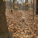 Monocacy Hill Trail, Pennsylvania - 1,794 Reviews, Map | AllTrails