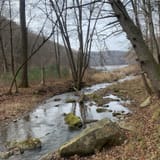 Tracy Ridge Hiking Trail System , Pennsylvania - 354 Reviews, Map ...