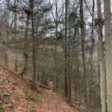 Tracy Ridge Hiking Trail System , Pennsylvania - 310 Reviews, Map ...