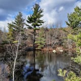 Blue Job Mountain Loop, New Hampshire - 1,892 Reviews, Map | AllTrails