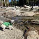 Bassi Falls, California - 2,906 Reviews, Map | AllTrails