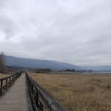 Raven Trail, British Columbia, Canada - 276 Reviews, Map | AllTrails