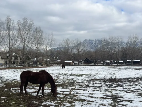 Best Hikes and Trails in Wheeler Historic Farm | AllTrails