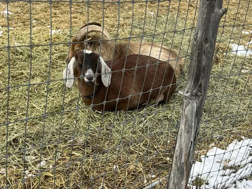 Best Hikes and Trails in Wheeler Historic Farm | AllTrails