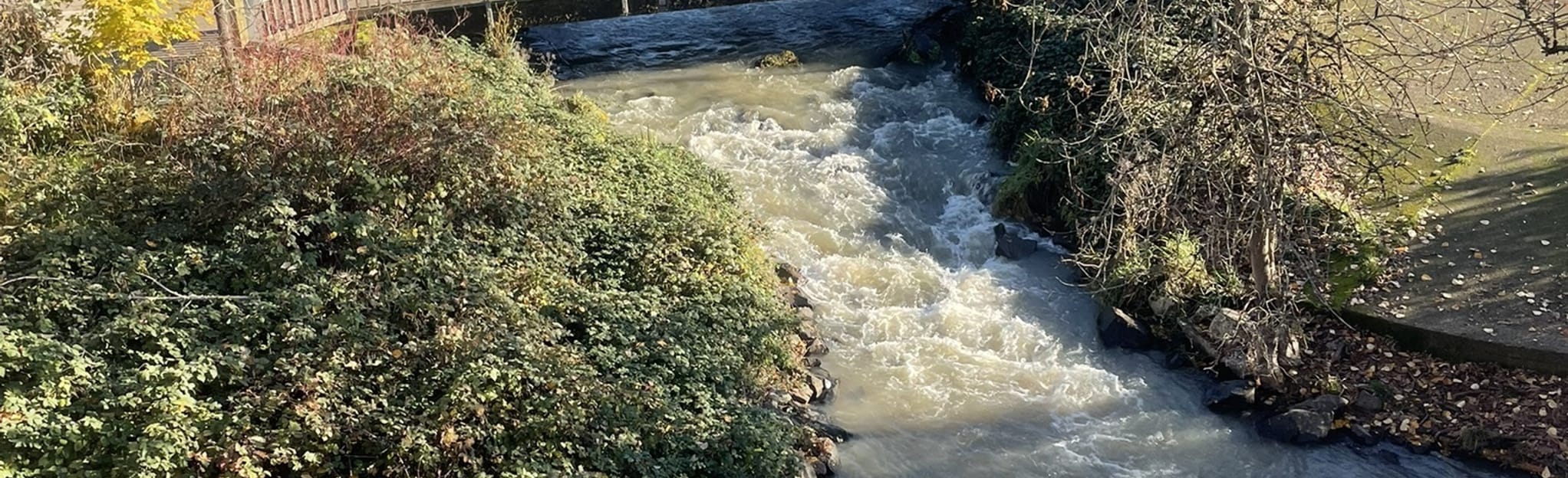 Ruth Bascom Willamette Riverbank Path, Oregon - 389 Reviews, Map ...