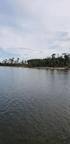 Best Hikes and Trails in Lynn Haven Bayou Preserve and Park | AllTrails