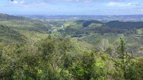 Best 10 Hiking Trails in Dome Forest Conservation Area | AllTrails