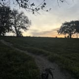 Dyer Park Trail, Florida - 619 Reviews, Map | AllTrails